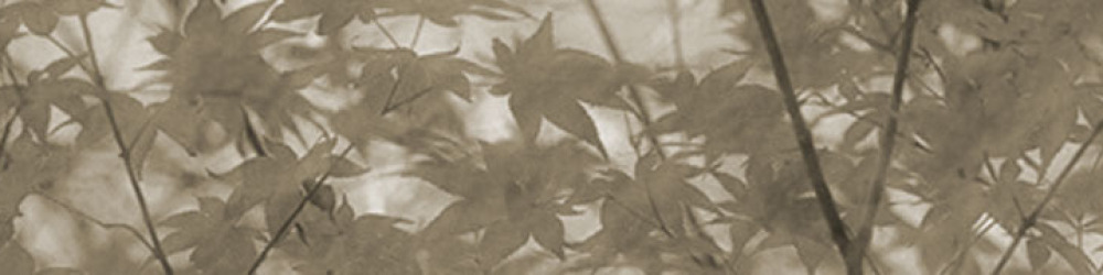 cropped-cropped-leaves.jpg | Genealogy by Paula